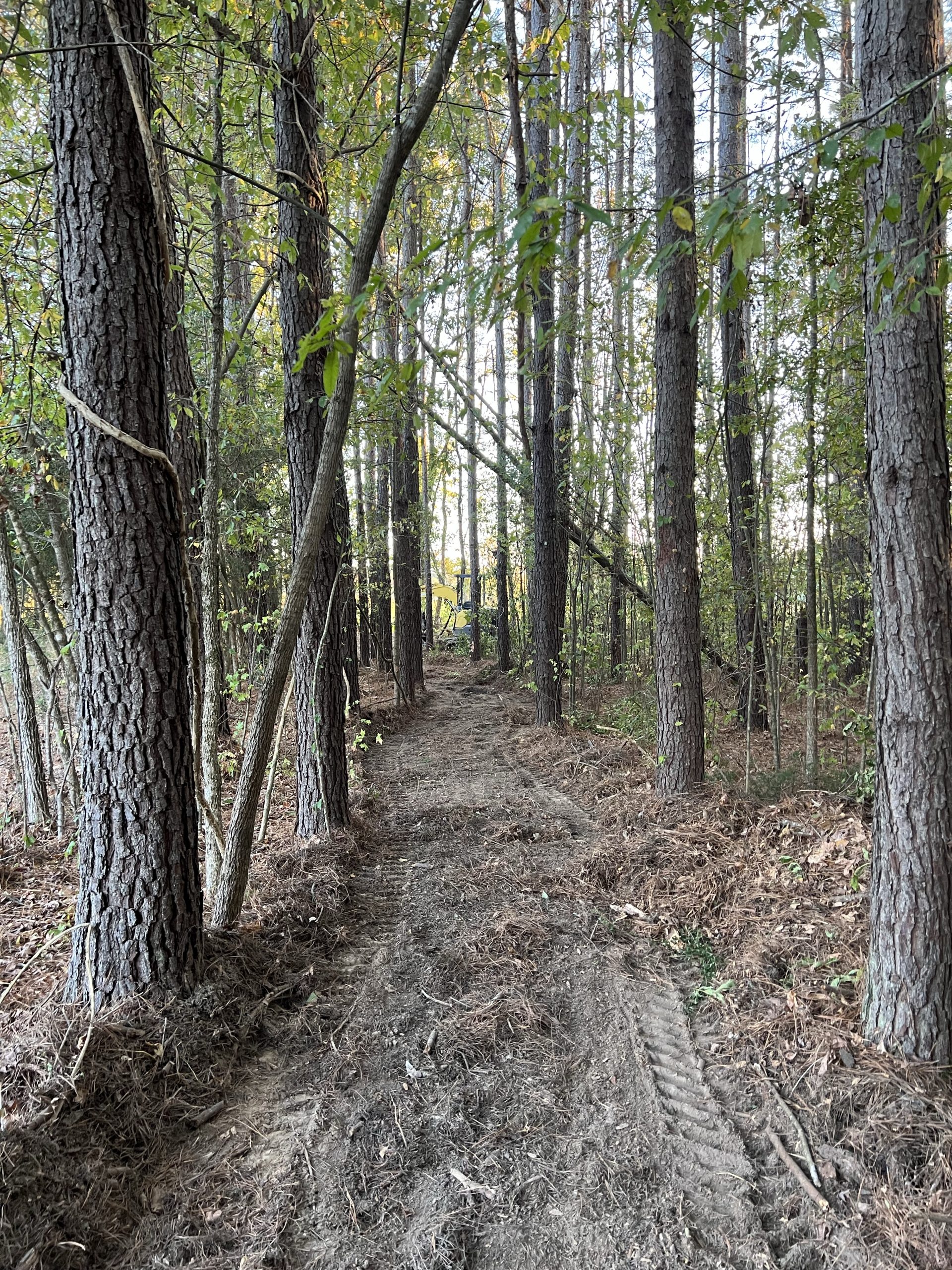 Making a Horse Trail - Thirteen 13 Farms