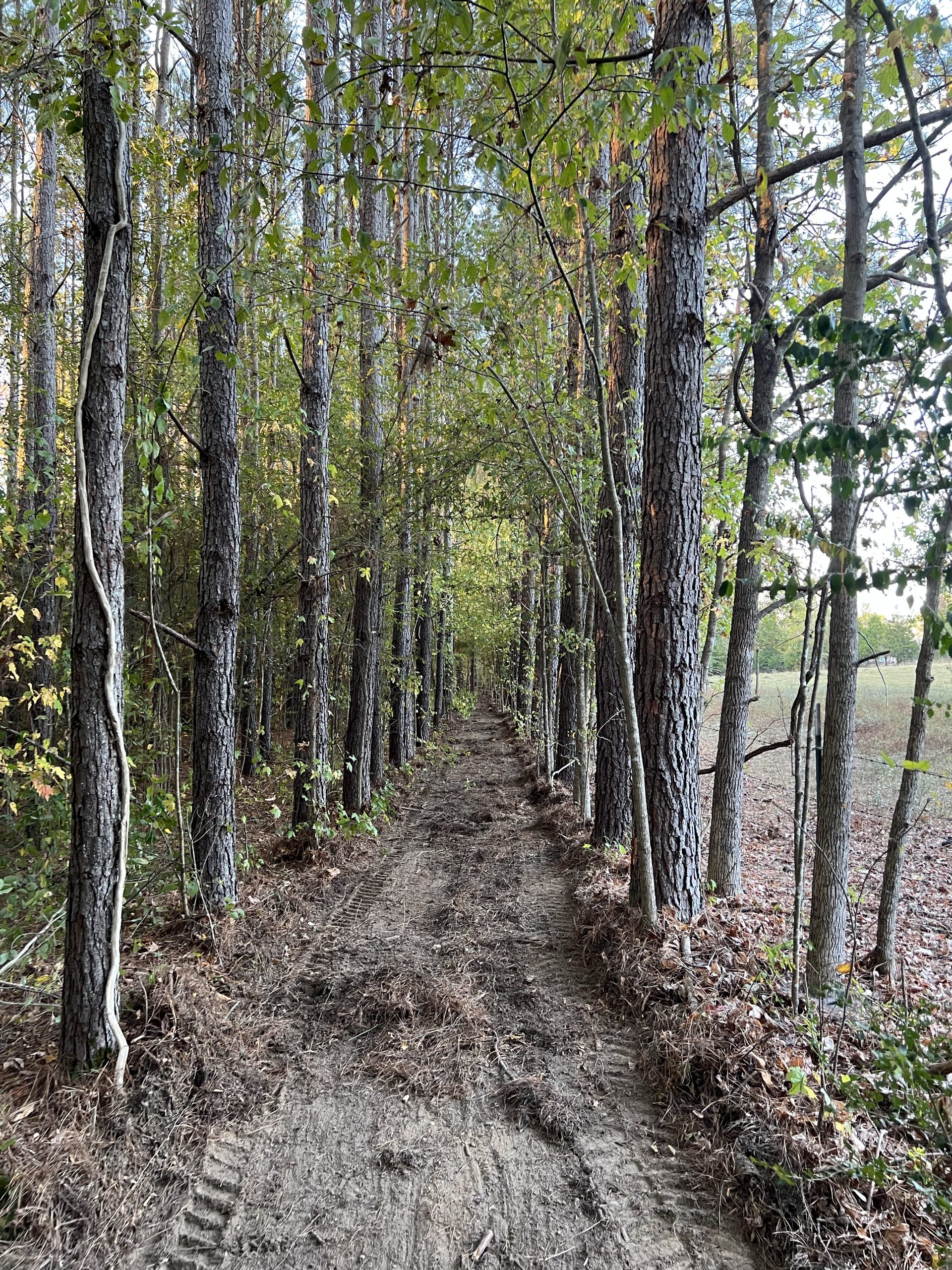 Making a Horse Trail - Thirteen 13 Farms